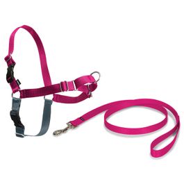 PetSafe Easy Walk Harness Raspberry Pink - szelki i smycz dla psa ...